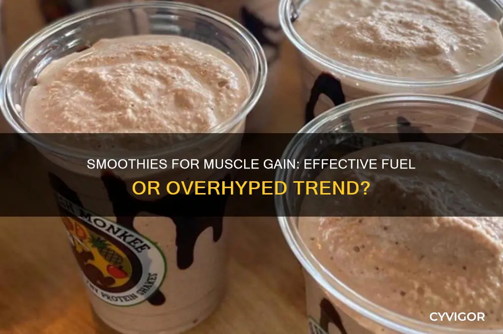Smoothies For Muscle Gain: Effective Fuel Or Overhyped Trend? | CyVigor