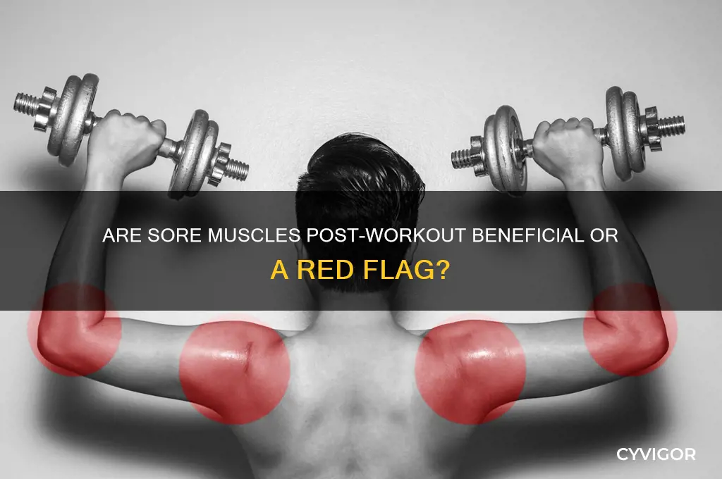 Are Sore Muscles Post-Workout Beneficial Or A Red Flag? | CyVigor