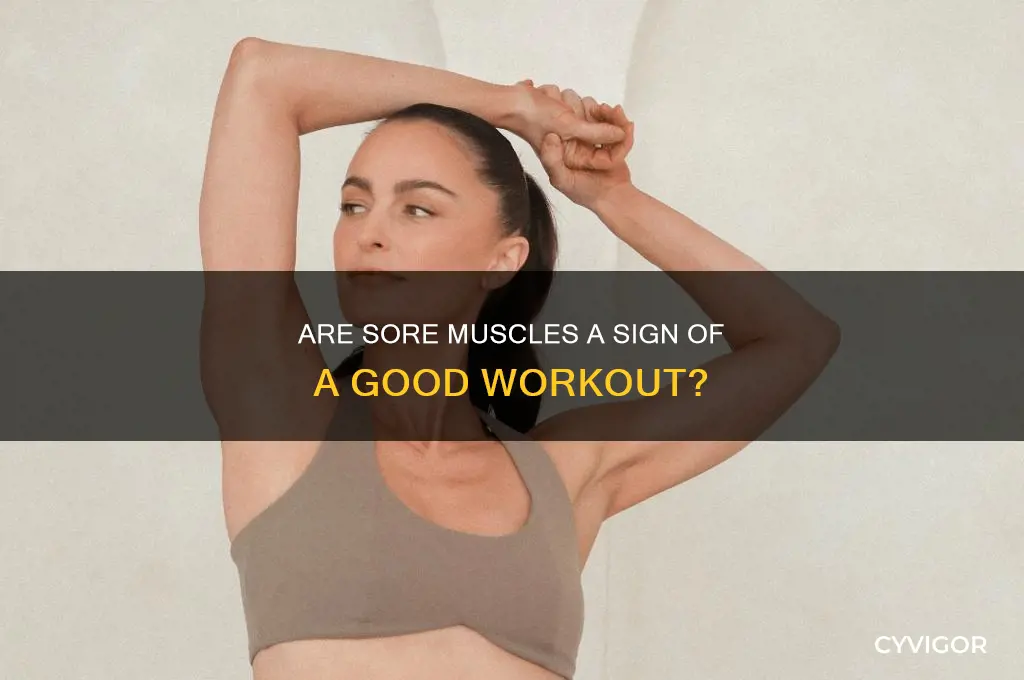 Are Sore Muscles A Sign Of A Good Workout? | CyVigor