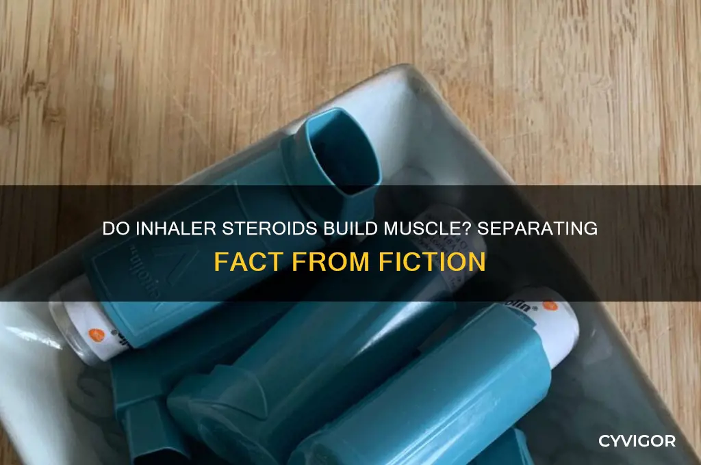 Do Inhaler Steroids Build Muscle? Separating Fact From Fiction | CyVigor