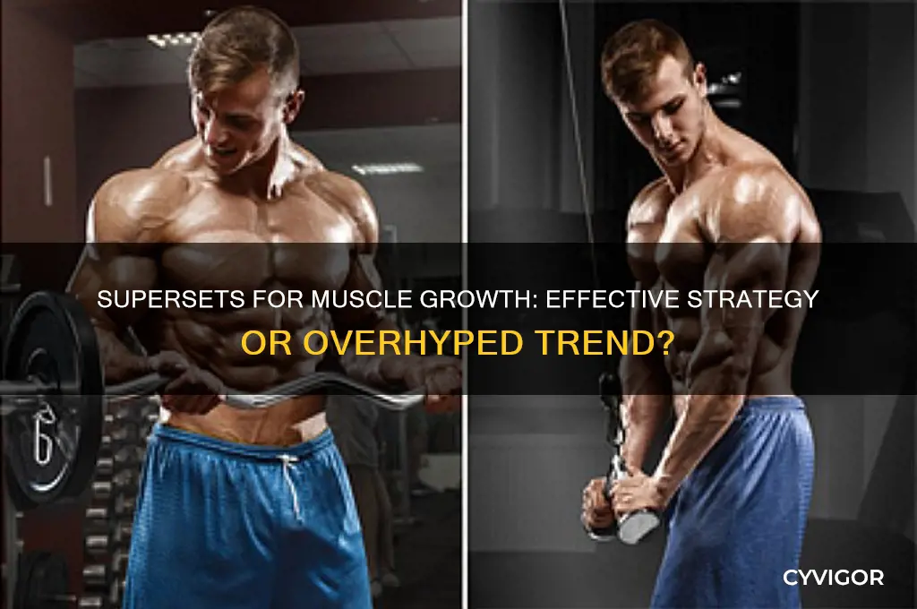 Supersets For Muscle Growth: Effective Strategy Or Overhyped Trend ...