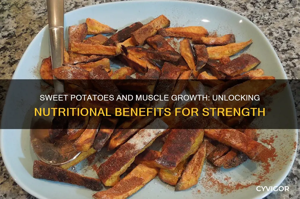 Sweet Potatoes And Muscle Growth: Unlocking Nutritional Benefits For ...