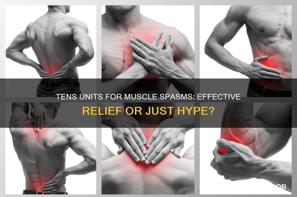 Tens Units For Muscle Spasms: Effective Relief Or Just Hype? | CyVigor