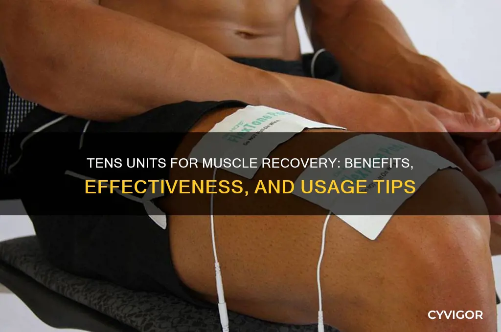 Tens Units For Muscle Recovery: Benefits, Effectiveness, And Usage Tips ...