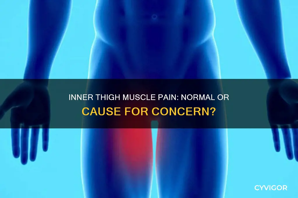 Inner Thigh Muscle Pain: Normal Or Cause For Concern? | CyVigor