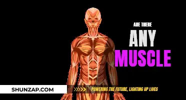 Tendons And Muscles: What's The Difference? | CyVigor