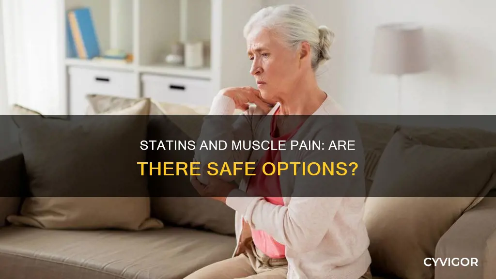 Statins And Muscle Pain: Are There Safe Options? | CyVigor