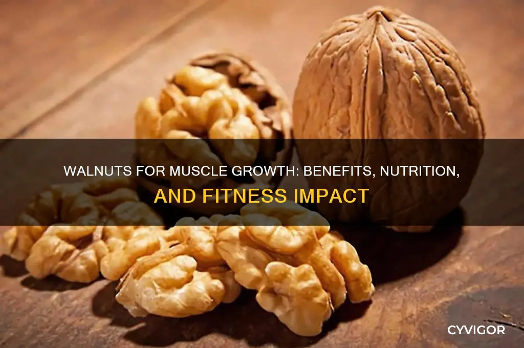 Walnuts For Muscle Growth: Benefits, Nutrition, And Fitness Impact ...