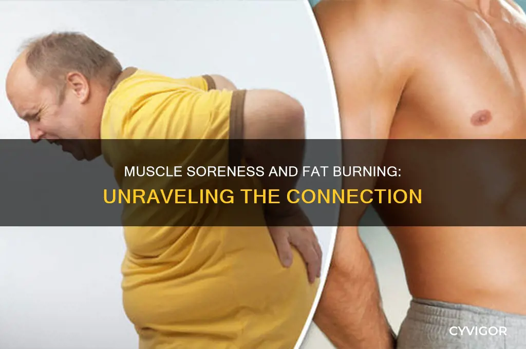 Muscle Soreness And Fat Burning: Unraveling The Connection | CyVigor
