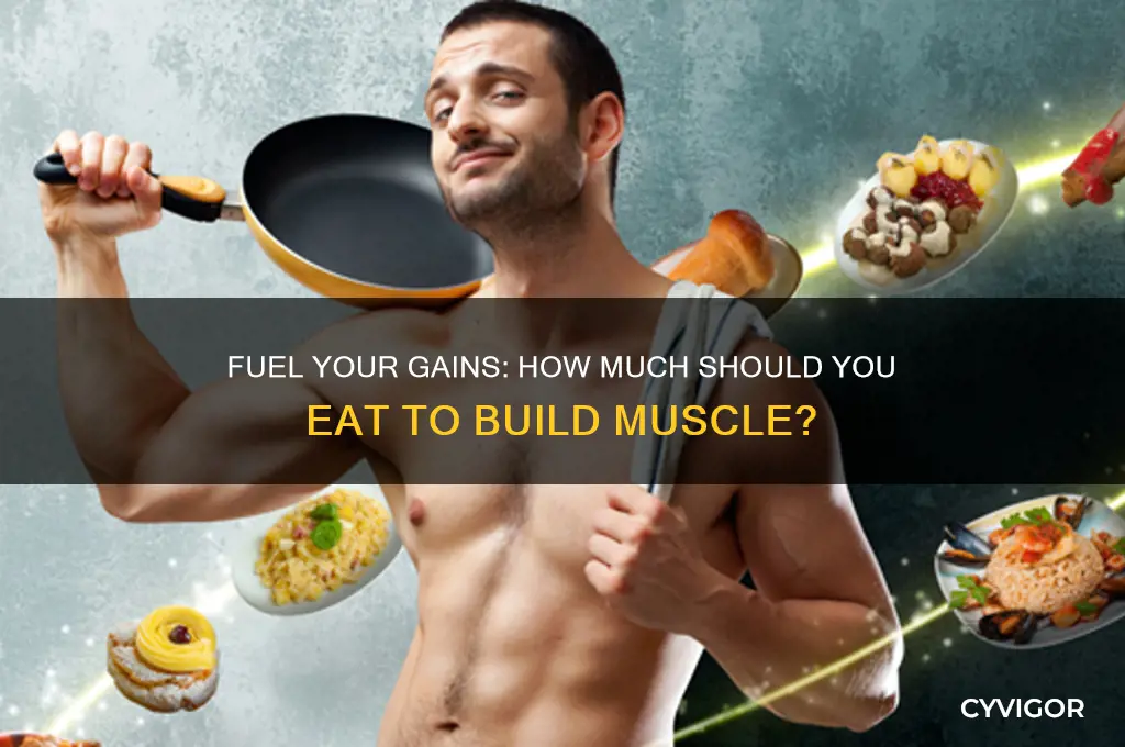 Fuel Your Gains: How Much Should You Eat To Build Muscle? | CyVigor