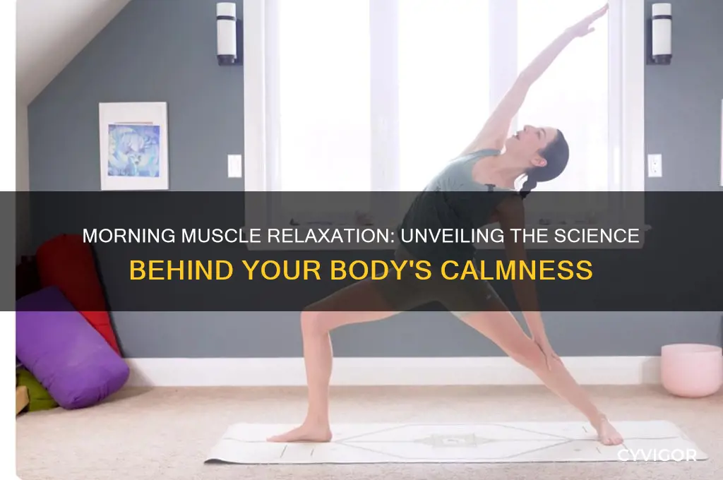 Morning Muscle Relaxation: Unveiling The Science Behind Your Body's ...