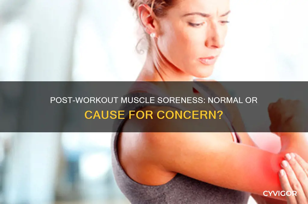 Post-Workout Muscle Soreness: Normal Or Cause For Concern? | CyVigor
