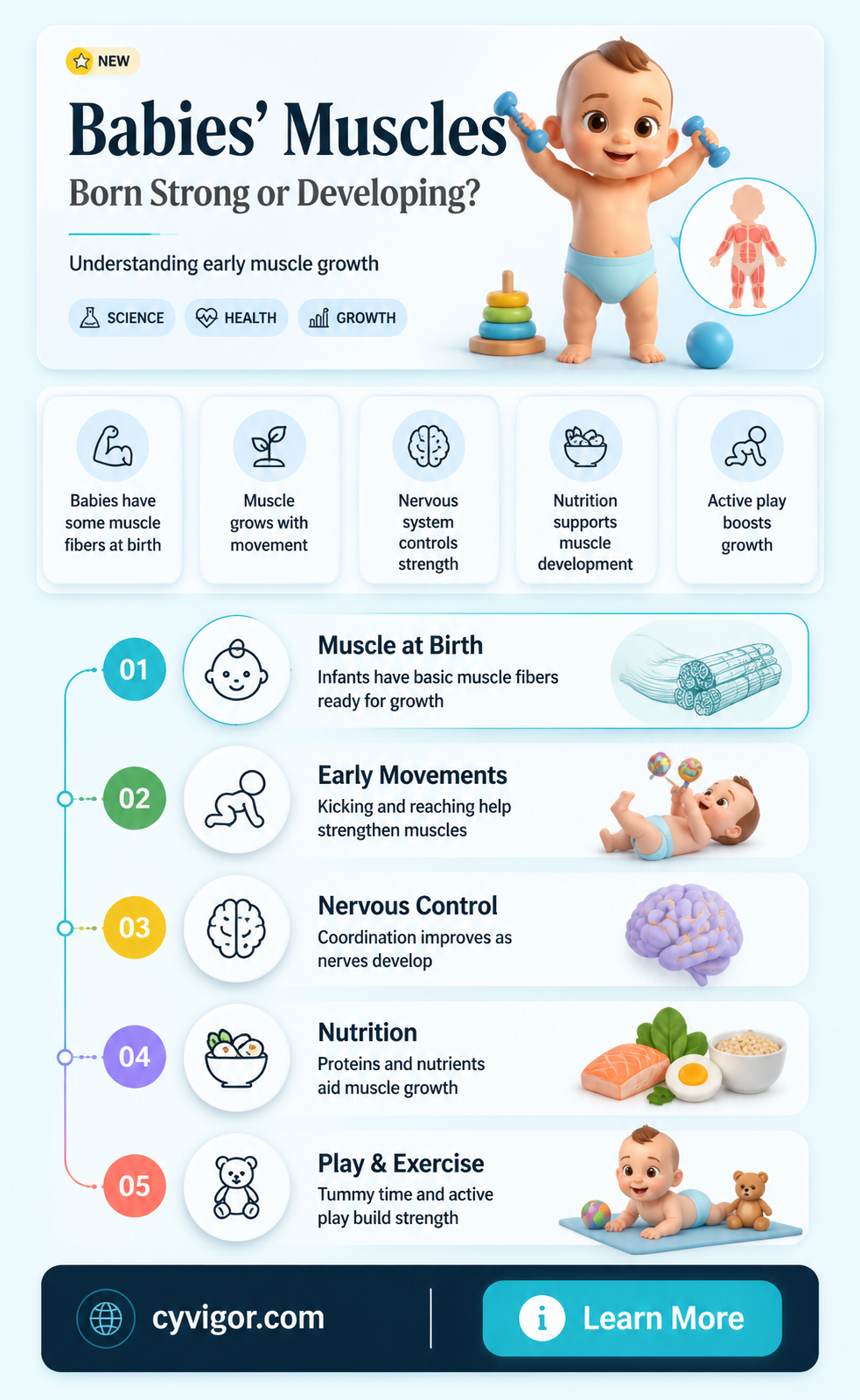Babies' Muscular Development: Are They Born With Muscles? | CyVigor
