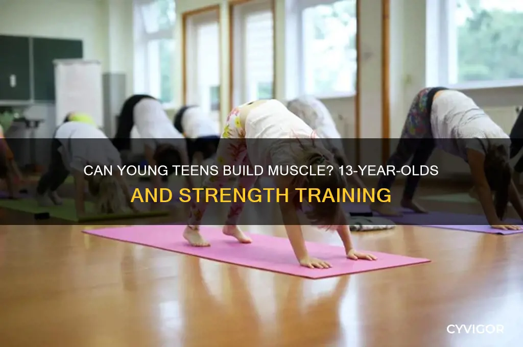 Can Young Teens Build Muscle? 13-Year-Olds And Strength Training | CyVigor