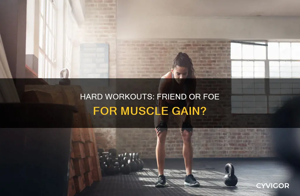 Hard Workouts: Friend Or Foe For Muscle Gain? | CyVigor