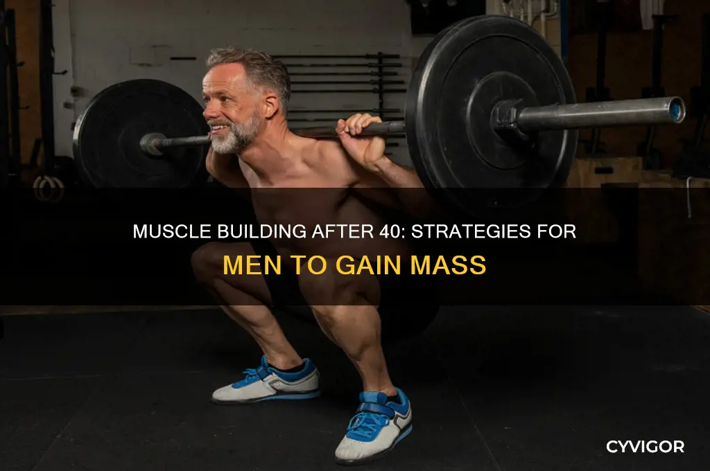 Muscle Building After 40: Strategies For Men To Gain Mass | CyVigor