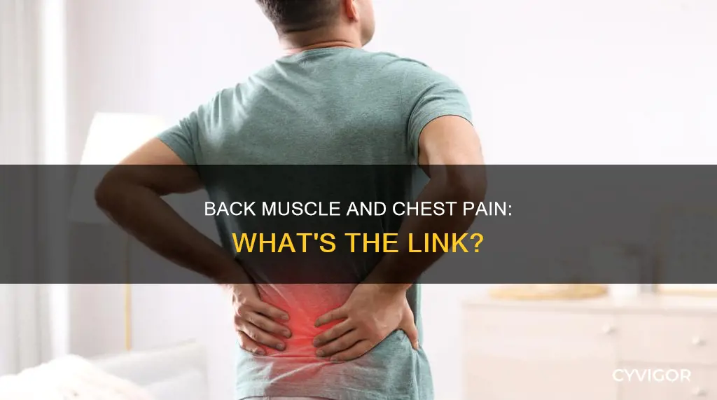 Back Muscle And Chest Pain: What's The Link? | CyVigor