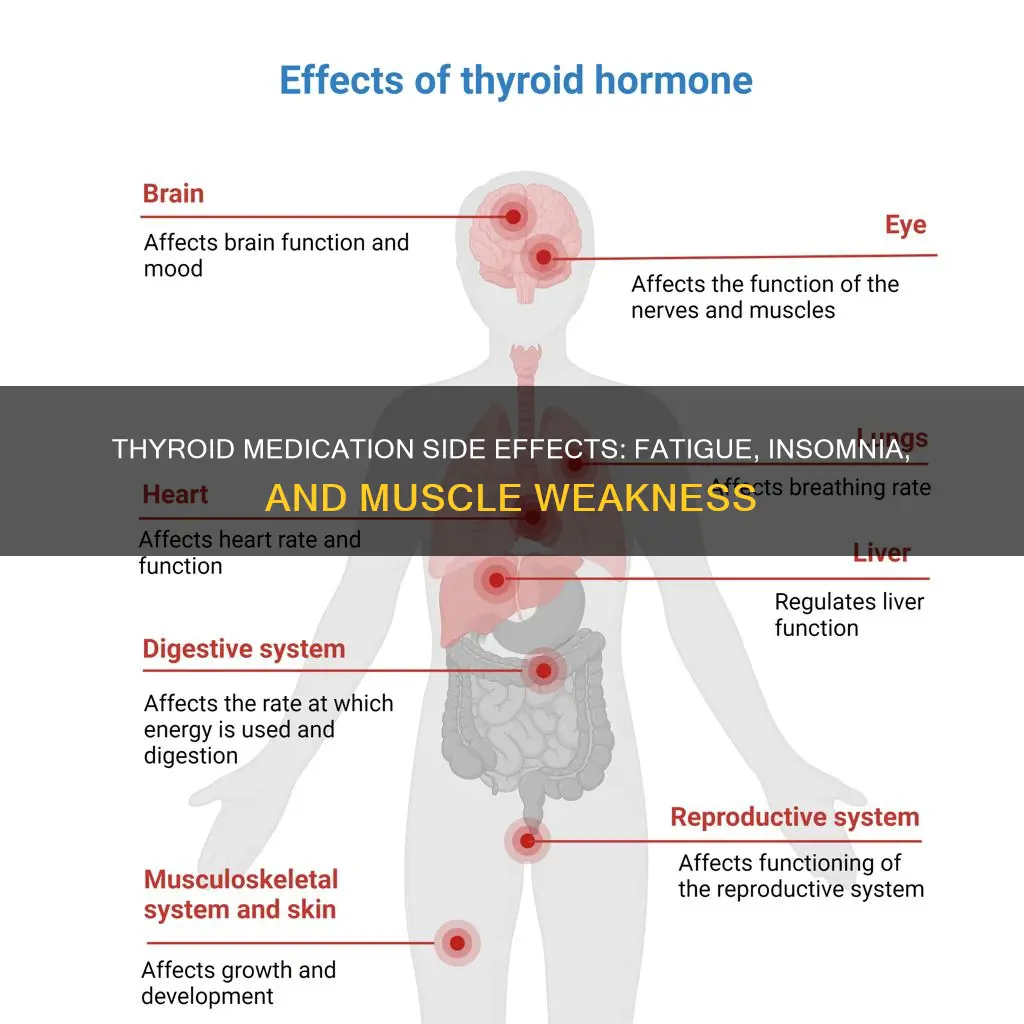Thyroid Medication Side Effects: Fatigue, Insomnia, And Muscle Weakness ...