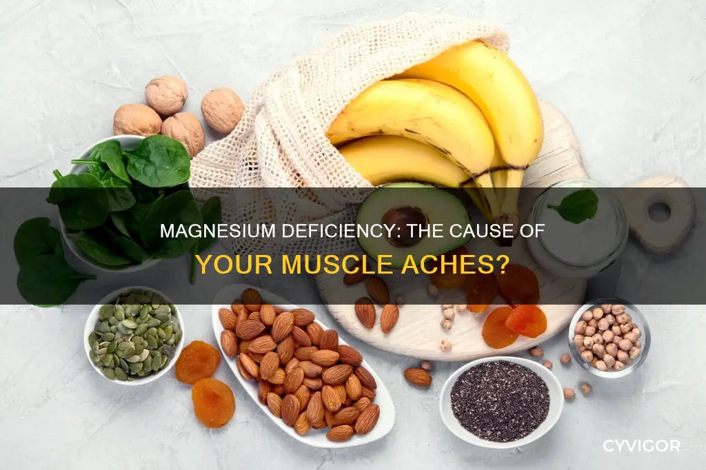 Magnesium Deficiency: The Cause Of Your Muscle Aches? | CyVigor