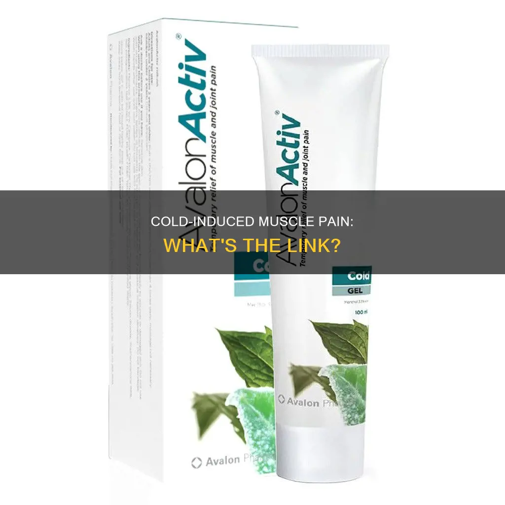 Cold-Induced Muscle Pain: What's The Link? | CyVigor