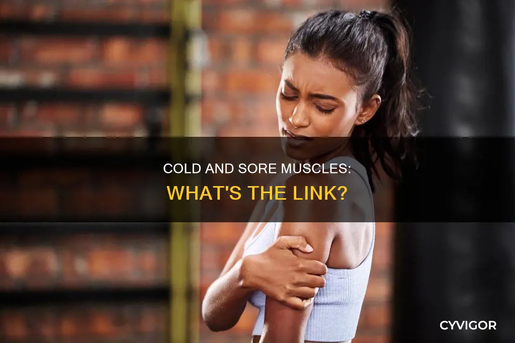 Cold And Sore Muscles: What's The Link? | CyVigor