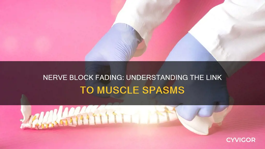 Nerve Block Fading: Understanding The Link To Muscle Spasms | CyVigor
