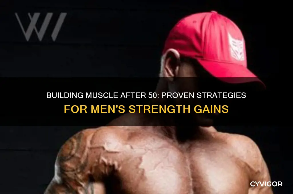 Building Muscle After 50: Proven Strategies For Men's Strength Gains ...