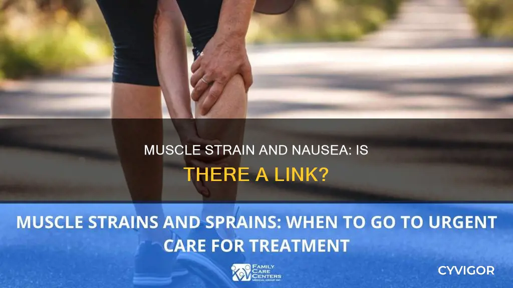 Muscle Strain And Nausea: Is There A Link? | CyVigor