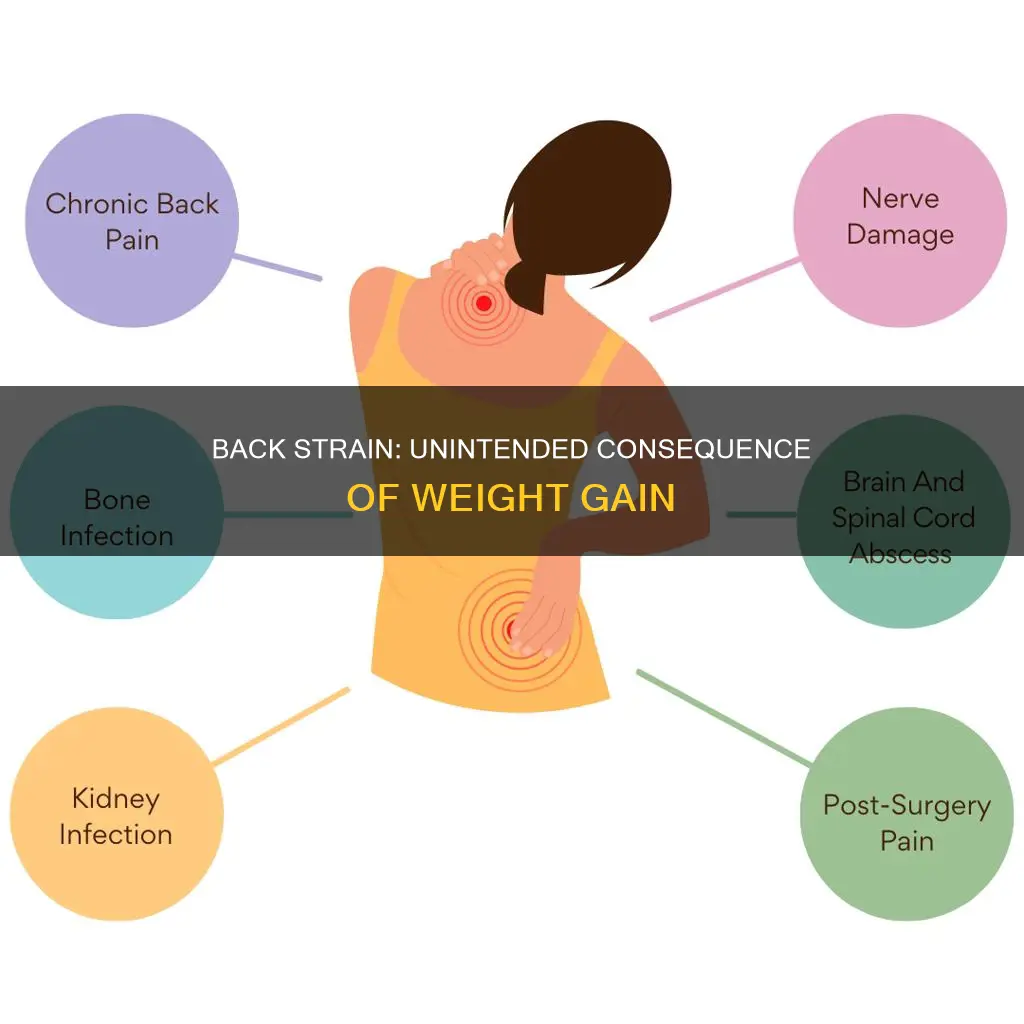 Back Strain: Unintended Consequence Of Weight Gain | CyVigor