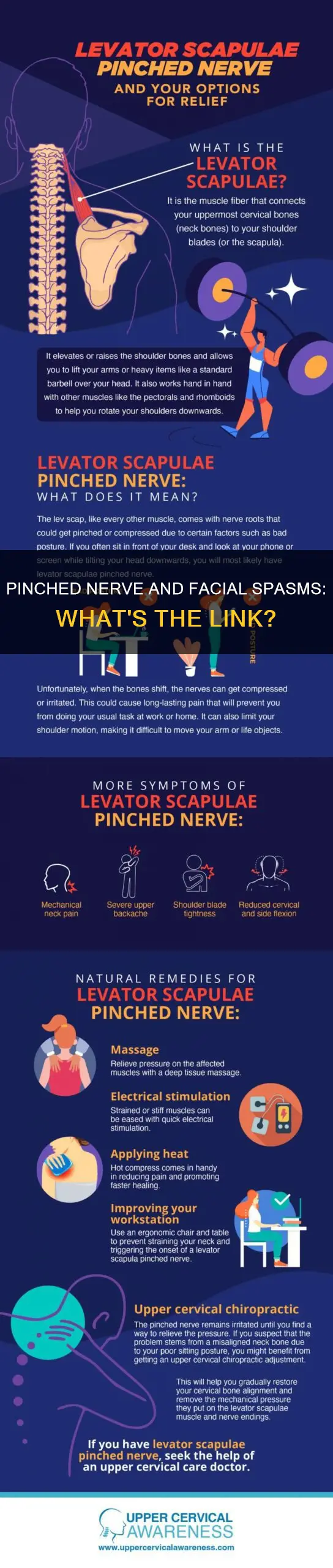 Pinched Nerve And Facial Spasms: What's The Link? | CyVigor