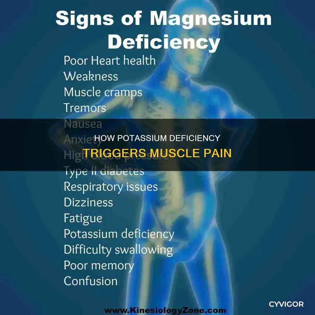 How Potassium Deficiency Triggers Muscle Pain | CyVigor