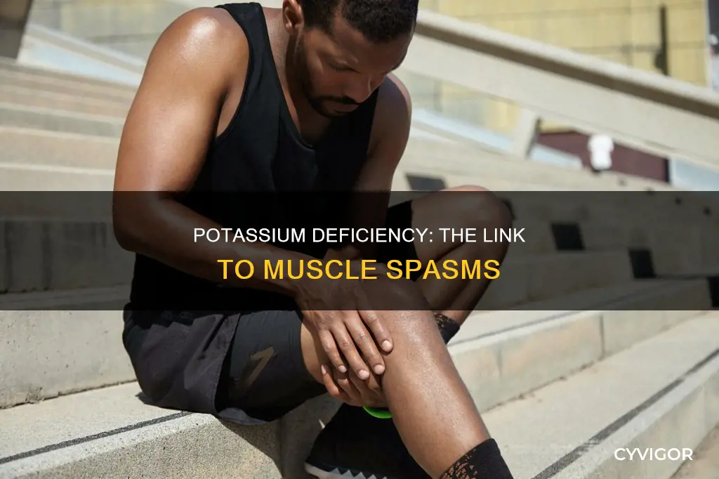 Potassium Deficiency: The Link To Muscle Spasms | CyVigor