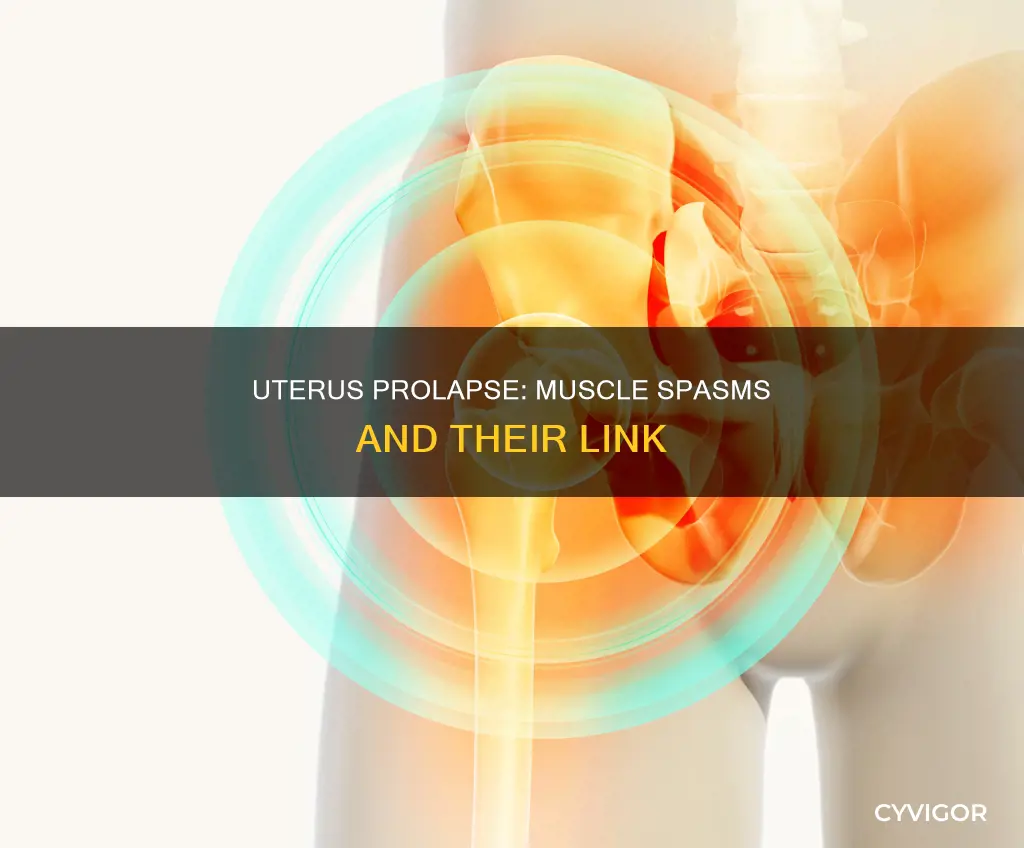Uterus Prolapse: Muscle Spasms And Their Link | CyVigor