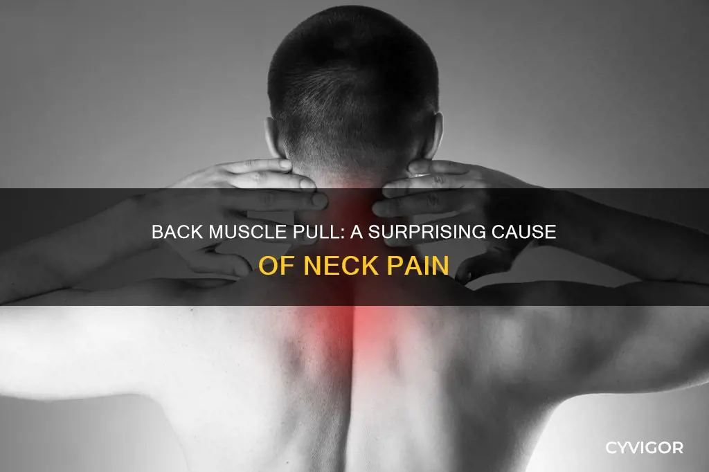 Back Muscle Pull: A Surprising Cause Of Neck Pain | CyVigor