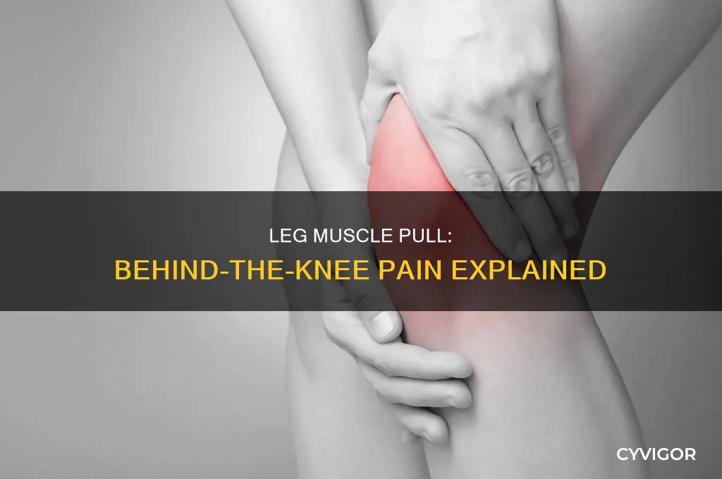 Leg Muscle Pull: Behind-The-Knee Pain Explained | CyVigor
