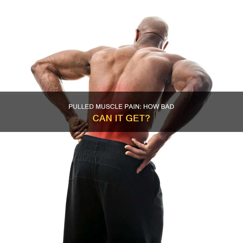 Pulled Muscle Pain: How Bad Can It Get? | CyVigor