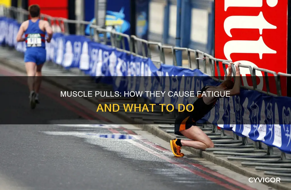 Muscle Pulls: How They Cause Fatigue And What To Do | CyVigor