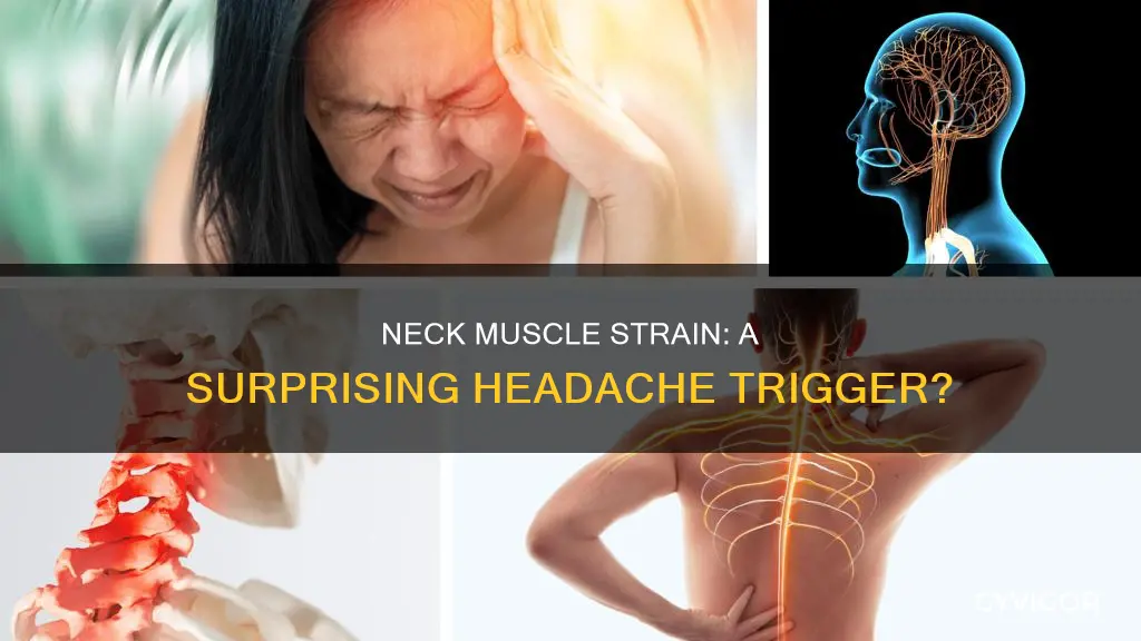 Neck Muscle Strain: A Surprising Headache Trigger? | CyVigor