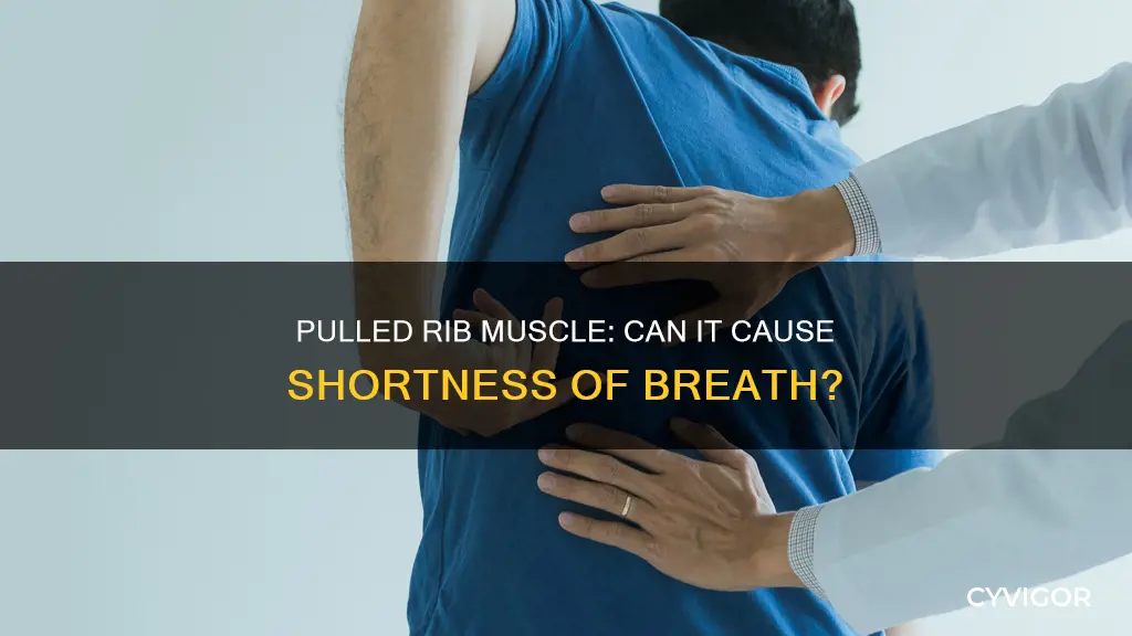 Pulled Rib Muscle: Can It Cause Shortness Of Breath? | CyVigor