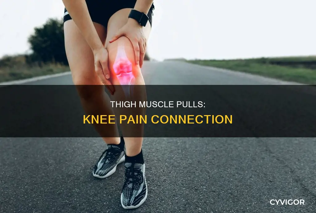 Thigh Muscle Pulls: Knee Pain Connection | CyVigor
