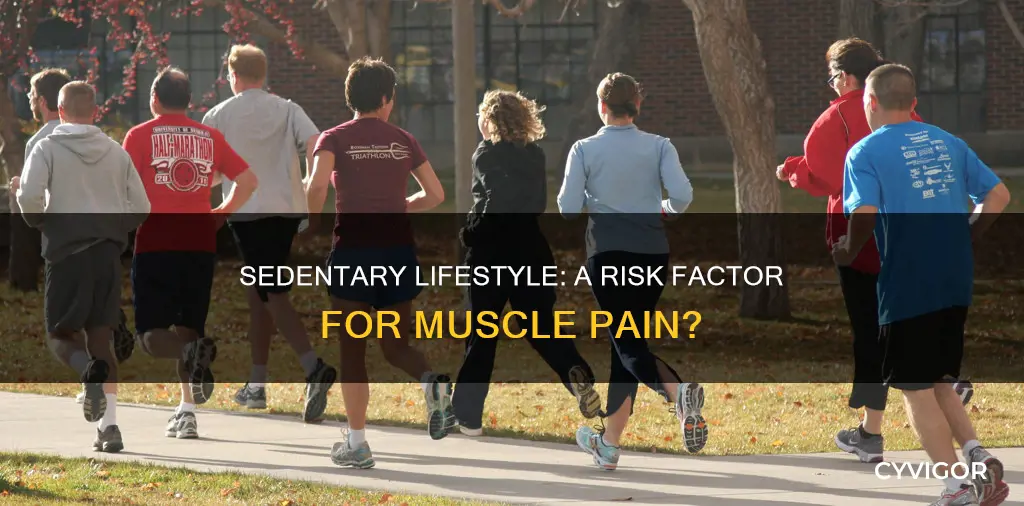Sedentary Lifestyle: A Risk Factor For Muscle Pain? | CyVigor