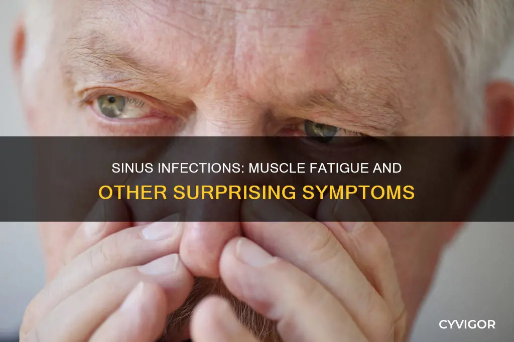 Sinus Infections: Muscle Fatigue And Other Surprising Symptoms | CyVigor