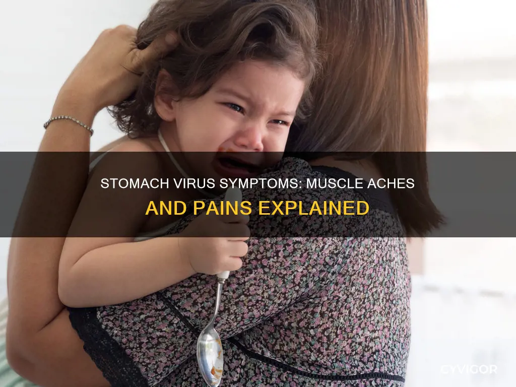 Stomach Virus Symptoms: Muscle Aches And Pains Explained | CyVigor
