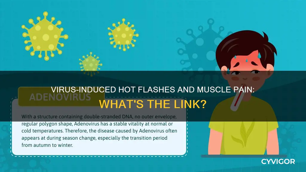 Virus-Induced Hot Flashes And Muscle Pain: What's The Link? | CyVigor