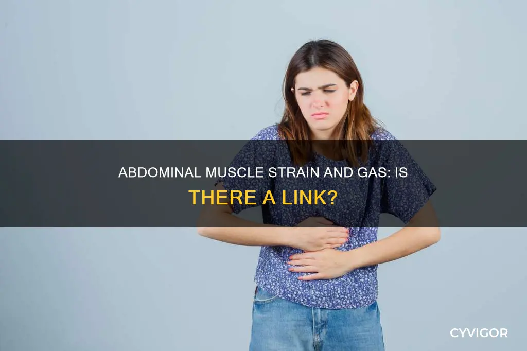 Abdominal Muscle Strain And Gas: Is There A Link? | CyVigor