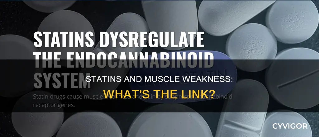 Statins And Muscle Weakness: What's The Link? | CyVigor