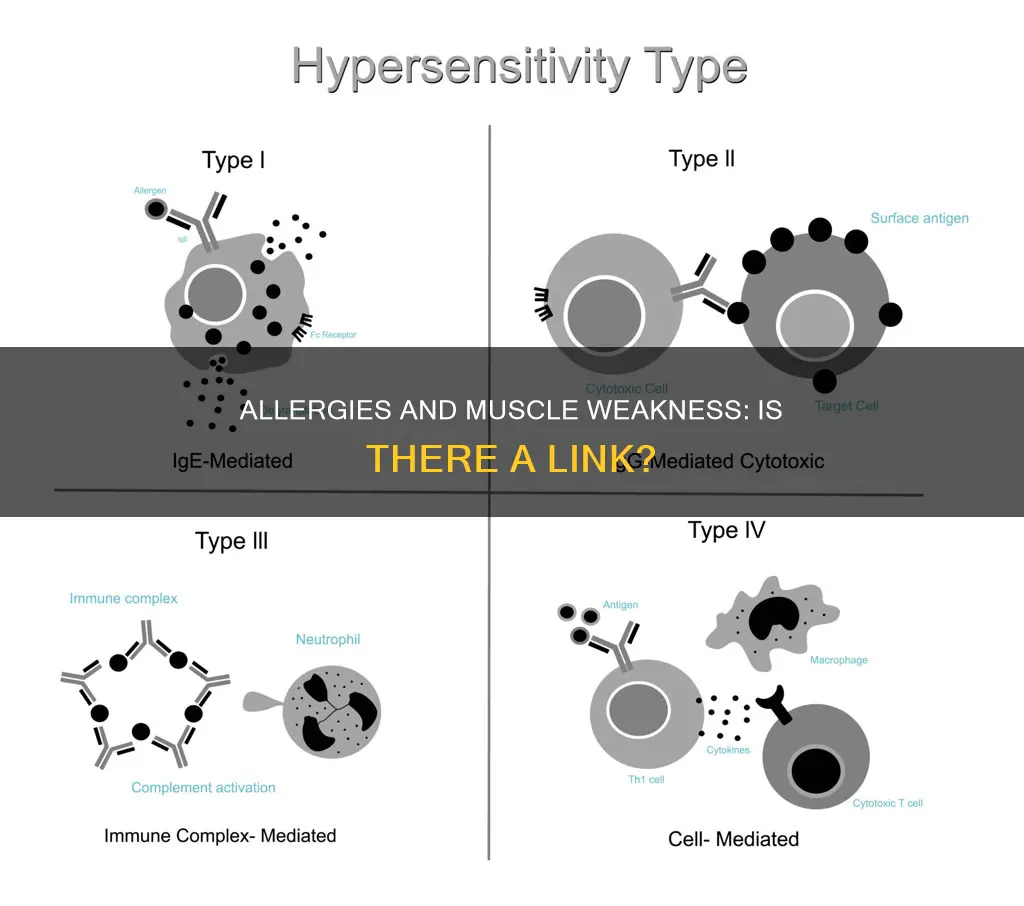 Allergies And Muscle Weakness: Is There A Link? | CyVigor