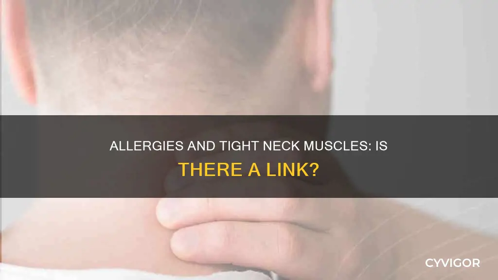 Allergies And Tight Neck Muscles: Is There A Link? | CyVigor