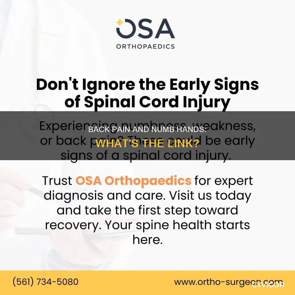 Back Pain And Numb Hands: What's The Link? | CyVigor