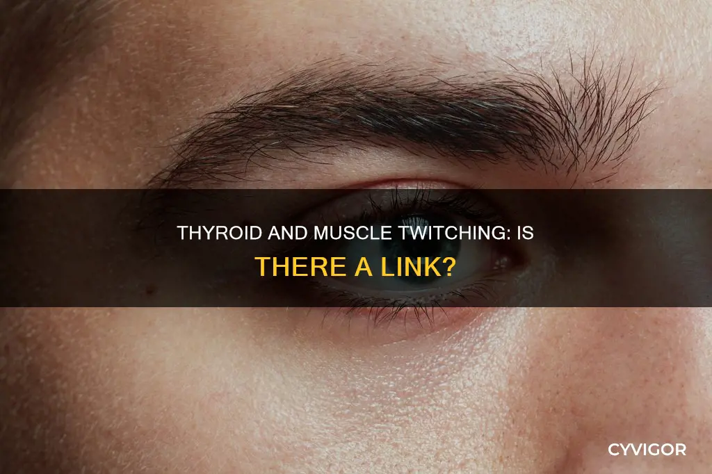 Thyroid And Muscle Twitching: Is There A Link? | CyVigor